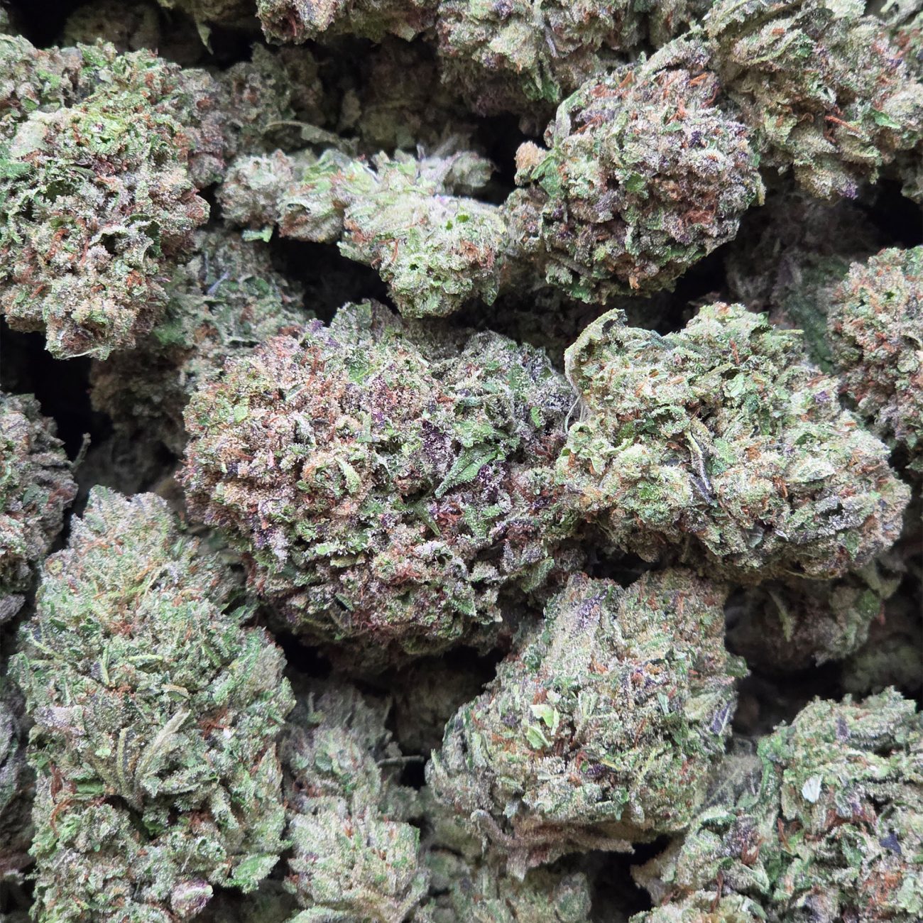 Warhead 14g – Greenhouse – Cannabliss